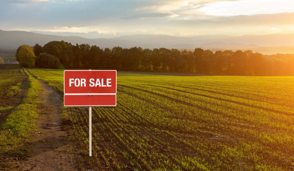4 Reasons To Invest in Large Land Plots | Dartslabs
